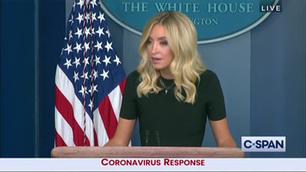 Kayleigh McEnany Blames Everyone Else For Trump's Cruel Harassment Of ...