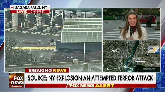 Fox's Alexis McAdams Claims Car At Niagara Explosion Was Packed Full Of ...