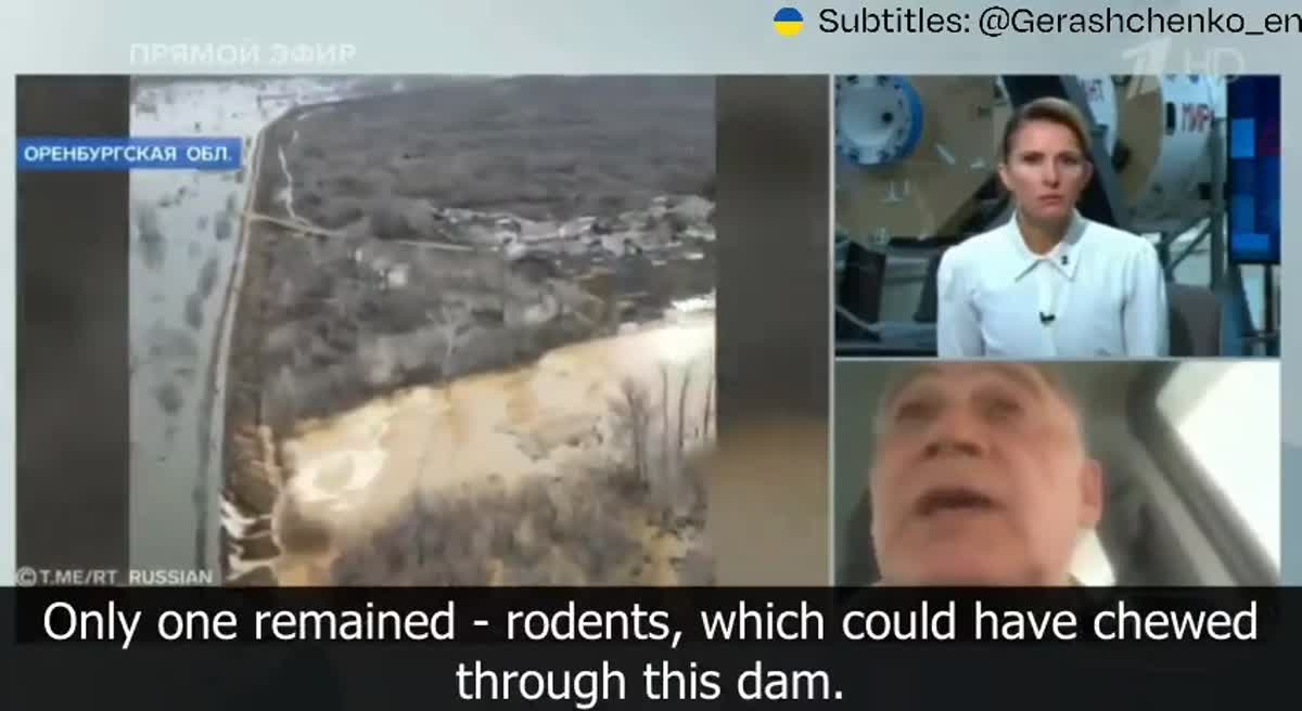 Russian Builder Blames Rodents For Orsk Dam Failure | Crooks and Liars