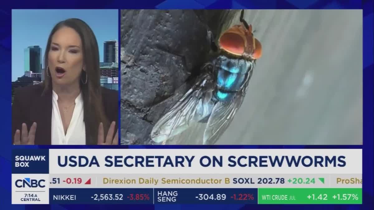 Brooke Rollins Sets New Record: Blaming Biden For Literal Screwworms ...