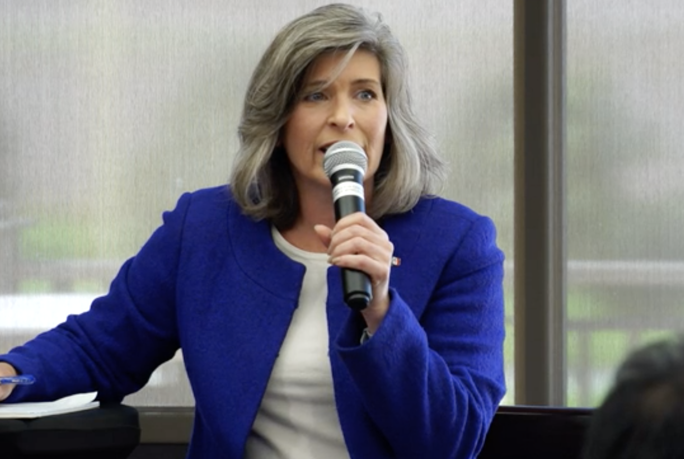 Angry Constituent Confronts Joni Ernst: 'Where Is The Line?' | Crooks ...