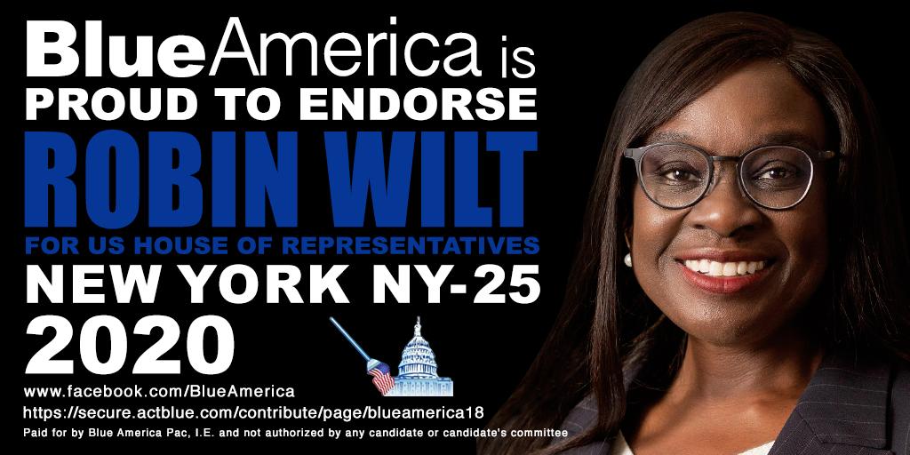 Robin Wilt For Congress (NY-25) | Crooks and Liars