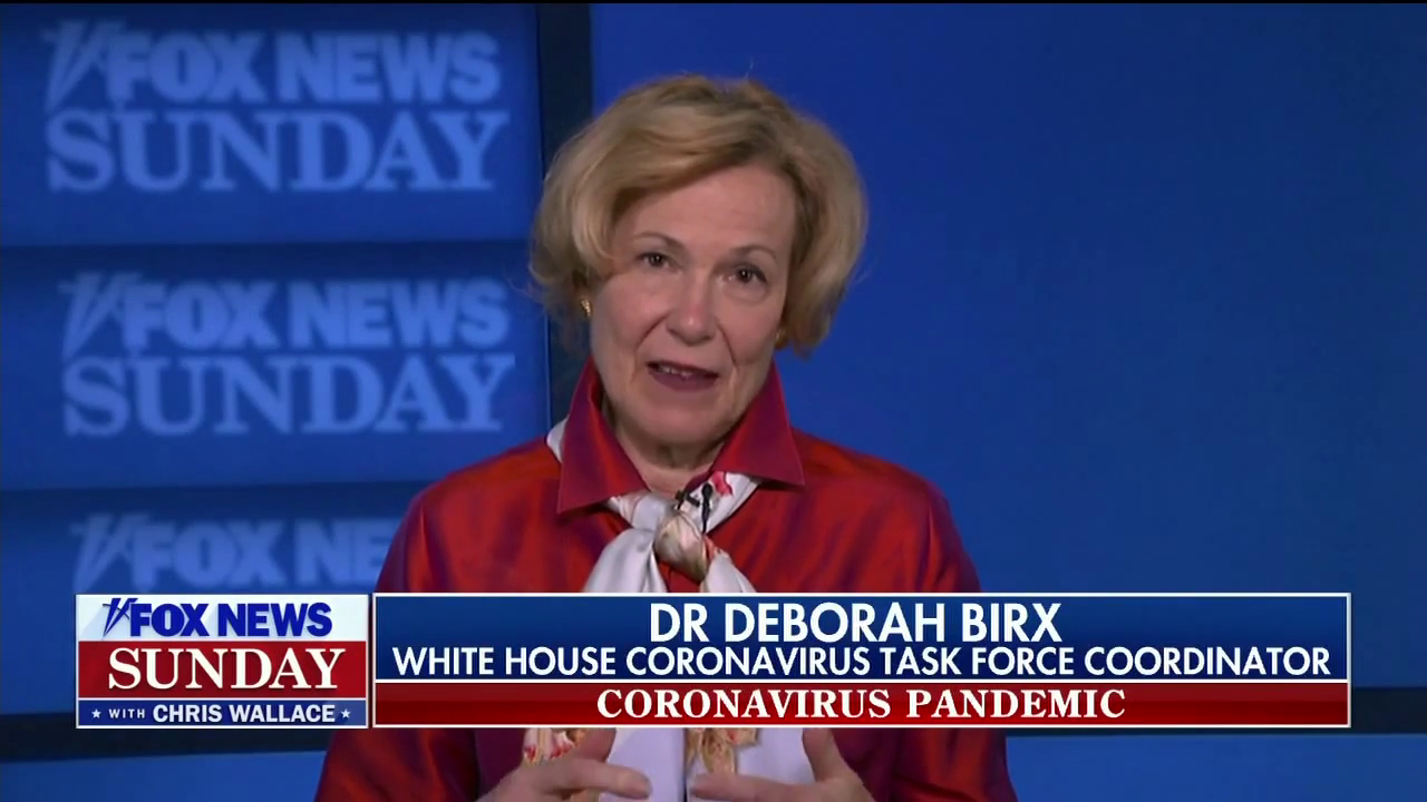 Dr. Birx Defends Trump's Refusal To Wear A Mask With A Lie | Crooks and ...