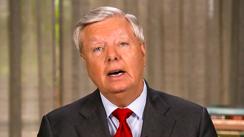 Lindsey Graham Slams Senators Who Expected Brett Kavanaugh Not To Lie ...