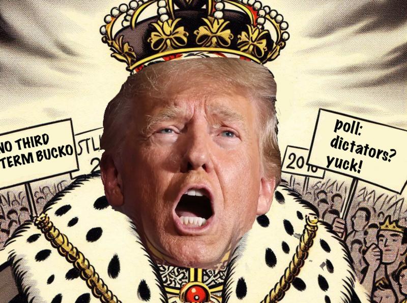 'Trump Third Term' Is Not A Joke | Crooks and Liars