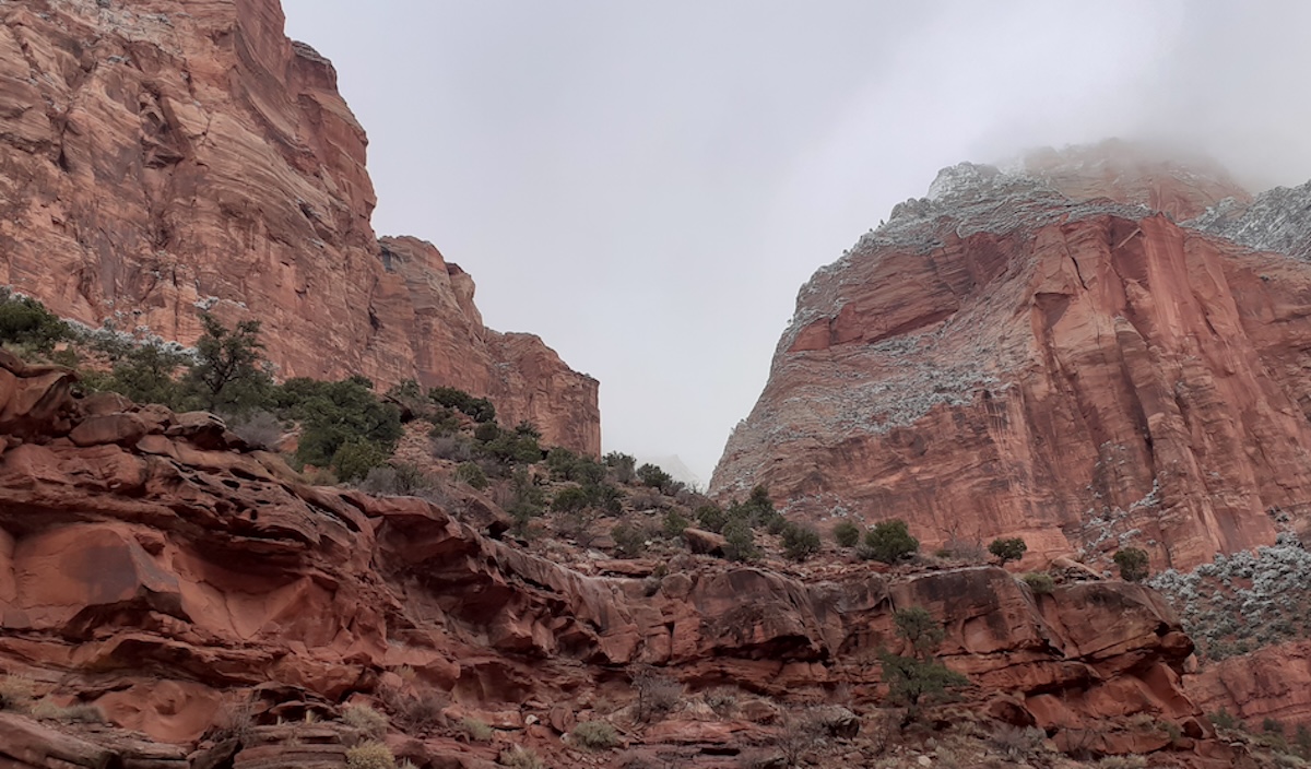 Our Natl Park Fees Are Paying For Trump’s Vanity Projects | Crooks and ...